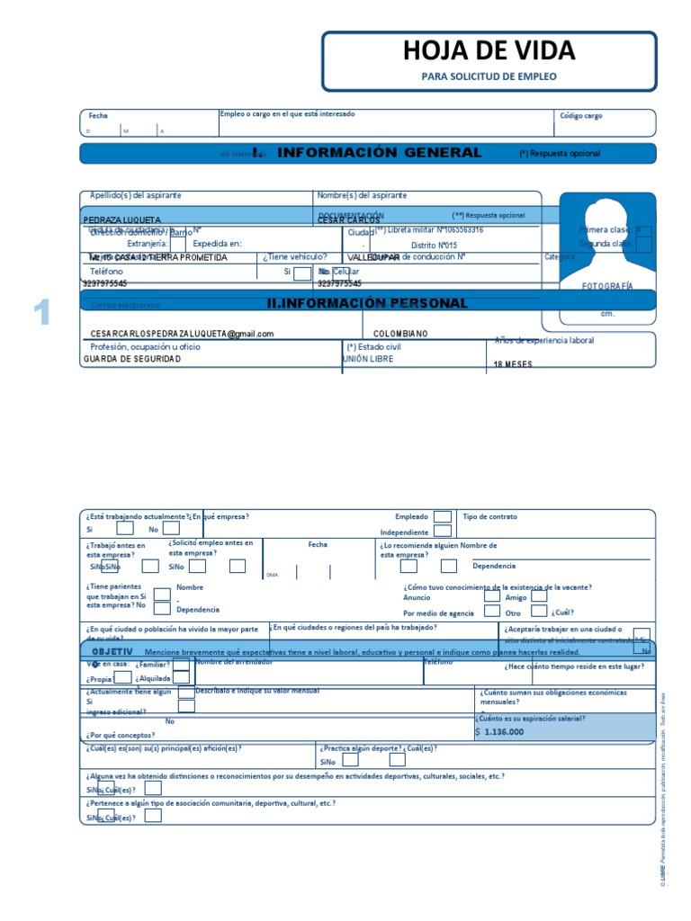 Formato Hoja de Vida Minerva 1003 | PDF