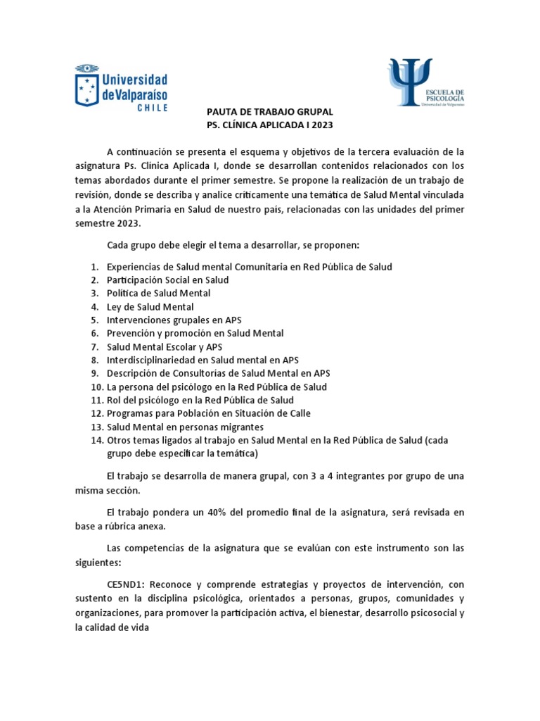 Pauta Trabajo Grupal - 2023 - Video | PDF