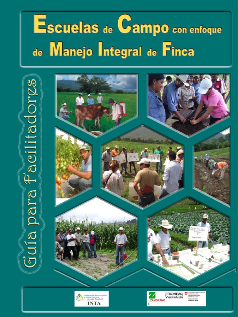 Guia ECA Finca Integral | PDF | Alimentos | Aprendizaje