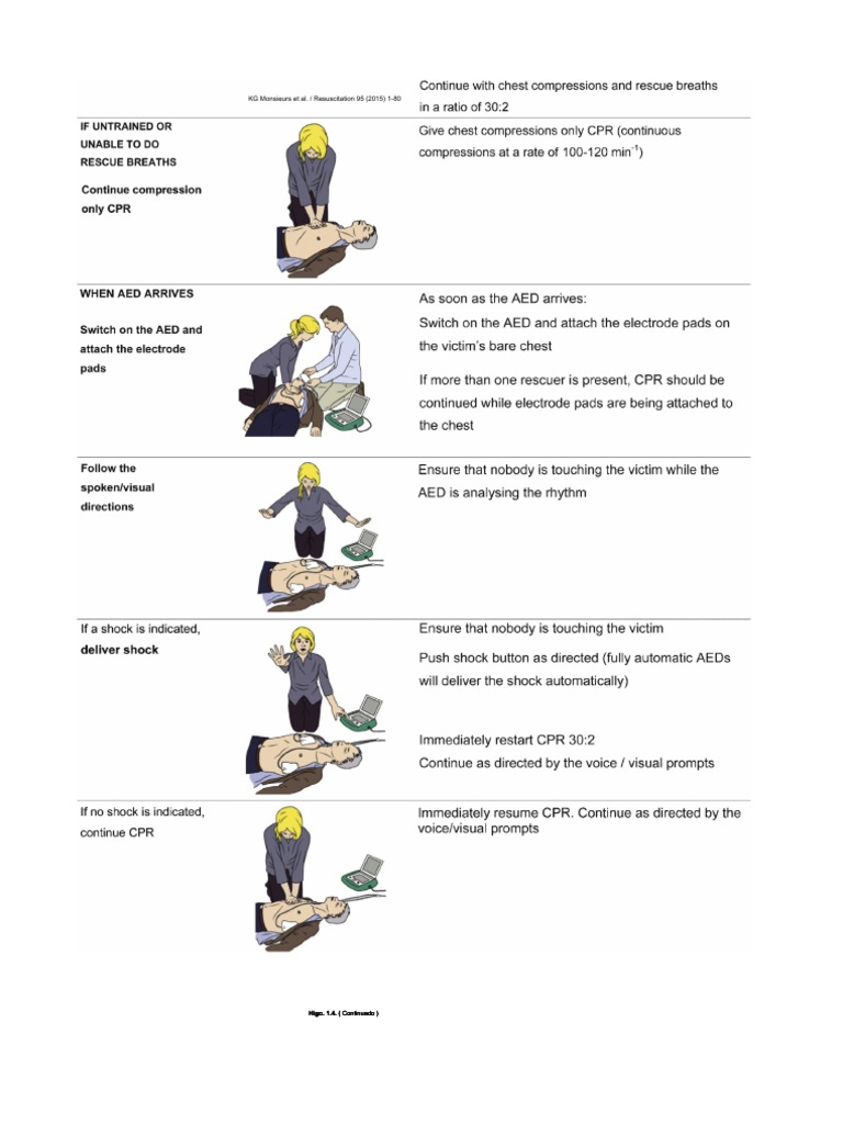 N. 2. ERC - Guidelines 6 | PDF