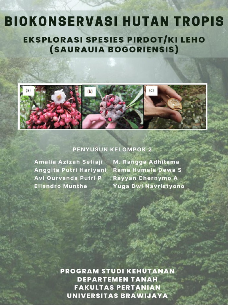 Eksplorasi Tumbuhan Ki Leho | PDF