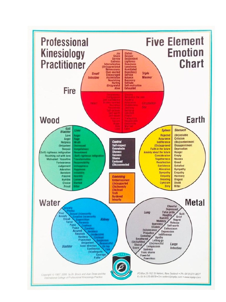 Emotion in Five Elements | PDF