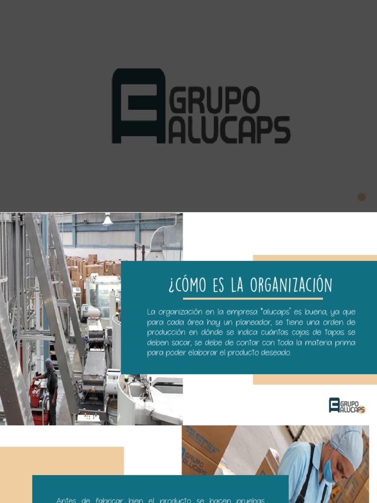 Grupo Alucaps | PDF | Crecimiento personal y profesional | Negocios