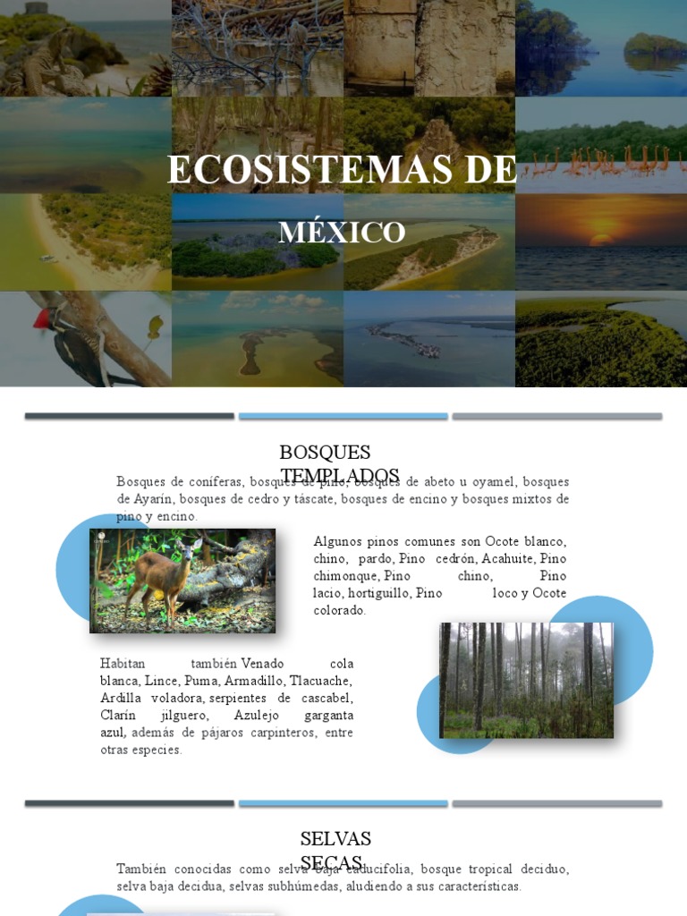Ecosistemas de México | PDF