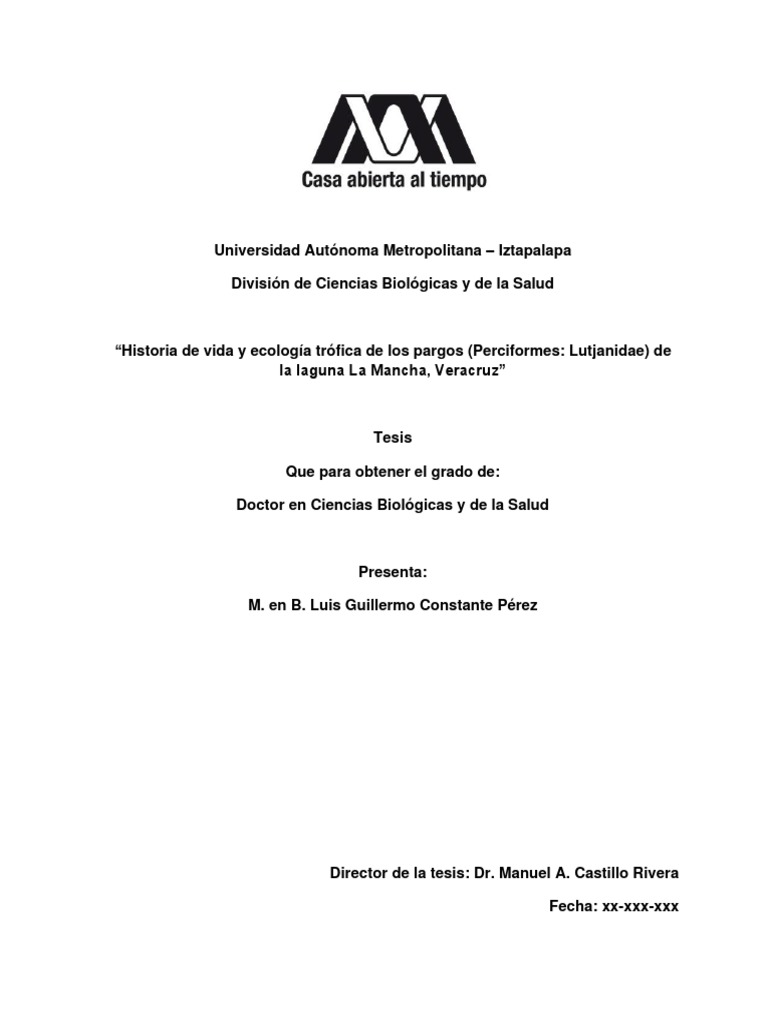 Avance Tesis LGCP 21I | PDF