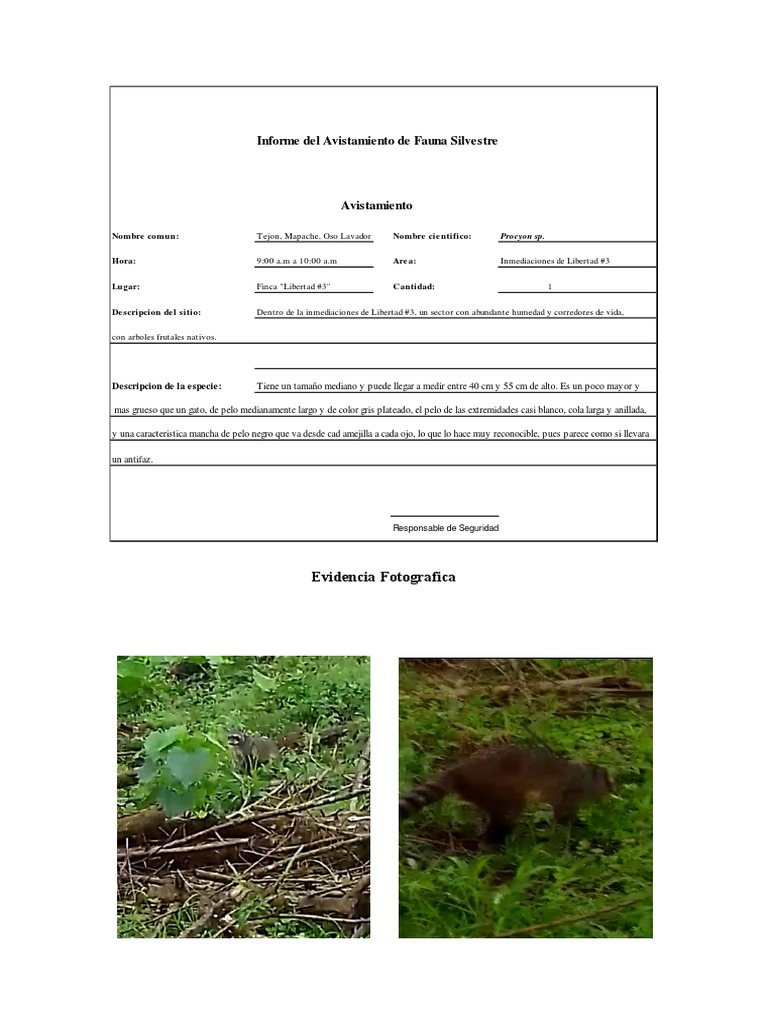 Informes de Avistamiento de Fauna Silvestre | PDF | Aves | Ornitología