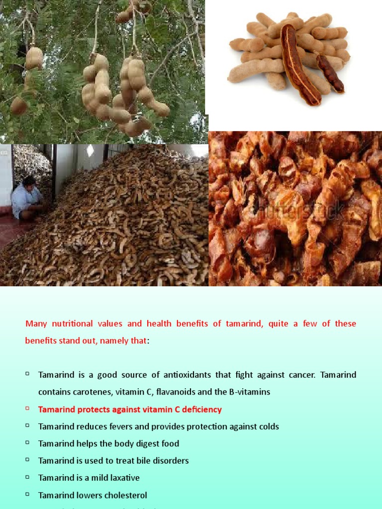 Tamarind | PDF | Flowers | Pollination