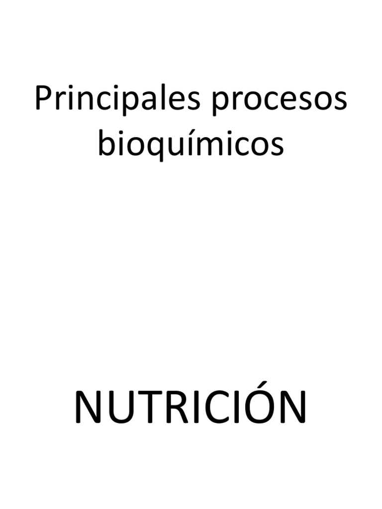 Principales Procesos Bioquímicos U2 | PDF | Respiración celular ...