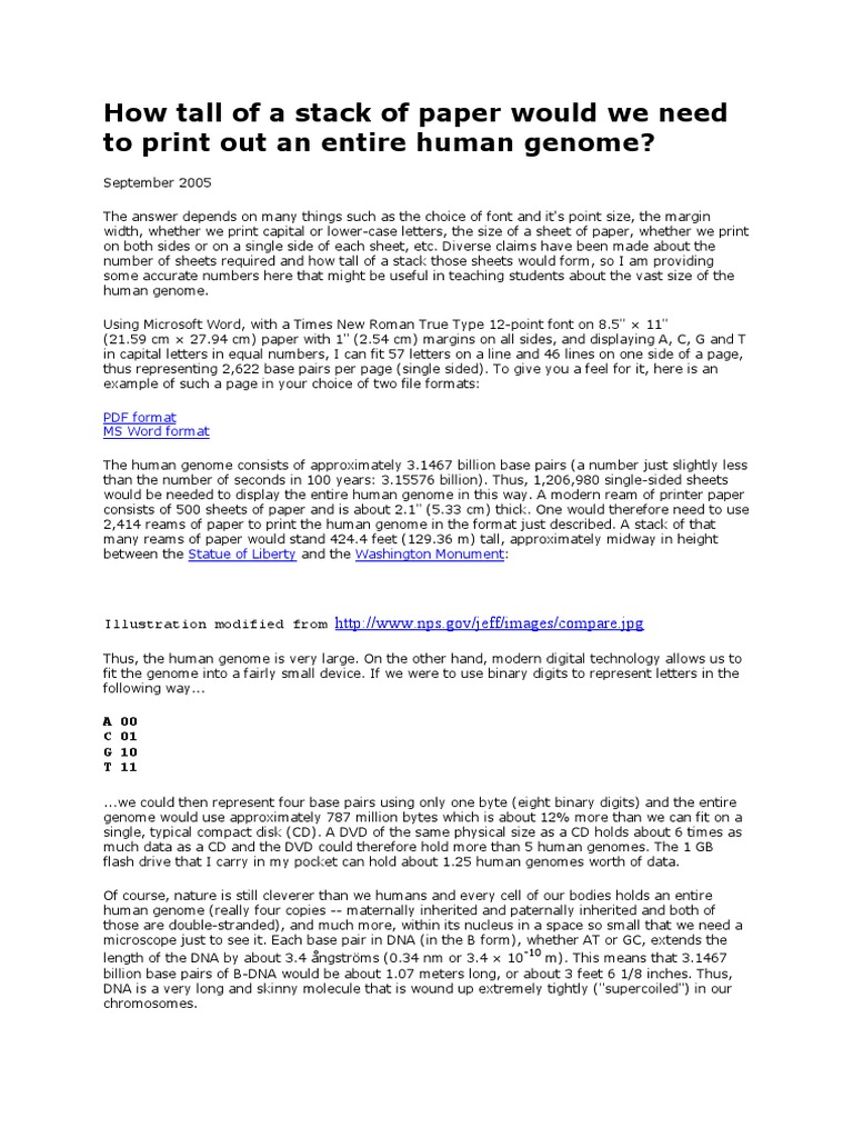 How Tall of A Stack of Paper Would We Need To Print Out An Entire Human ...