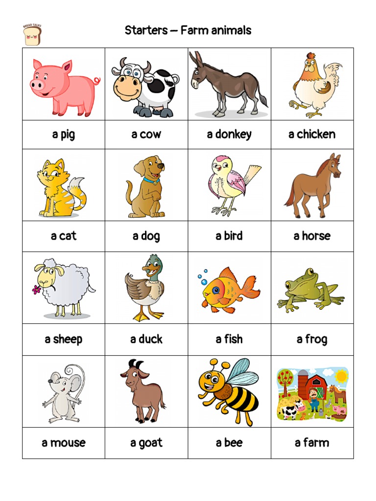 Starters Poster - Farm Animals | PDF