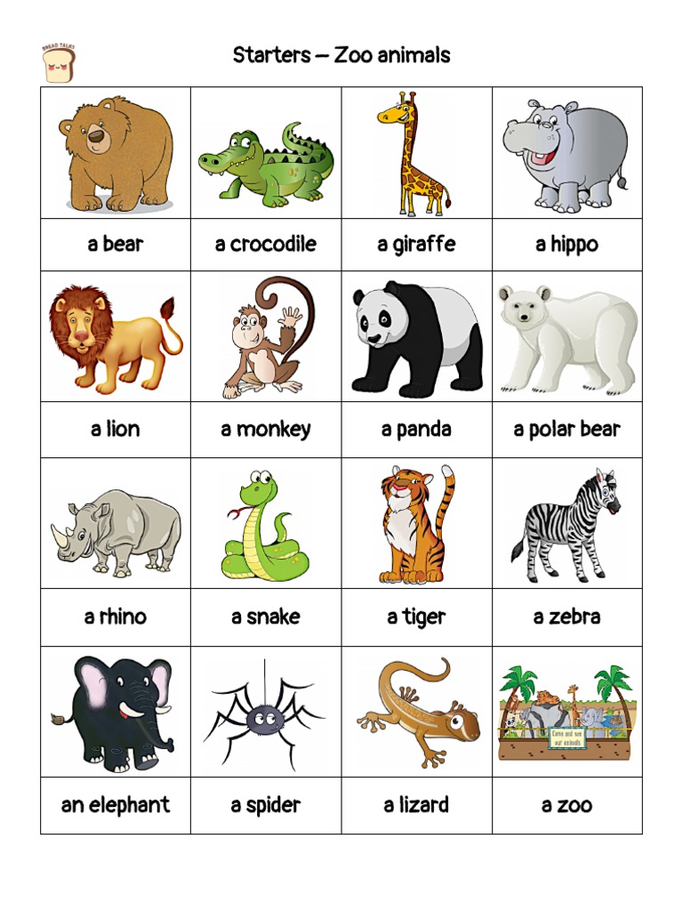 Starters Poster - Zoo Animals | PDF