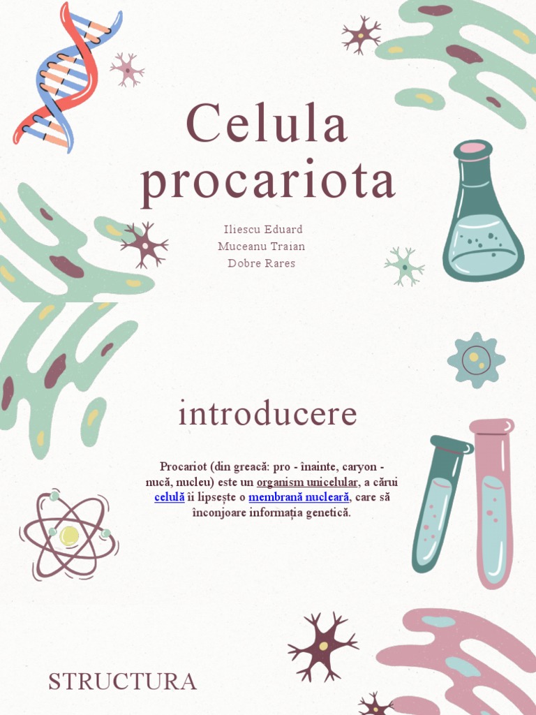 Celula Procariota | PDF