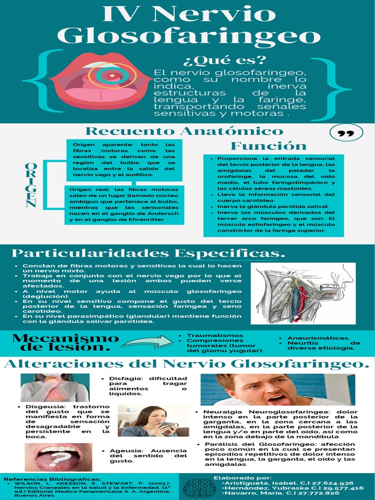 Nervio Glosofaringeo | PDF
