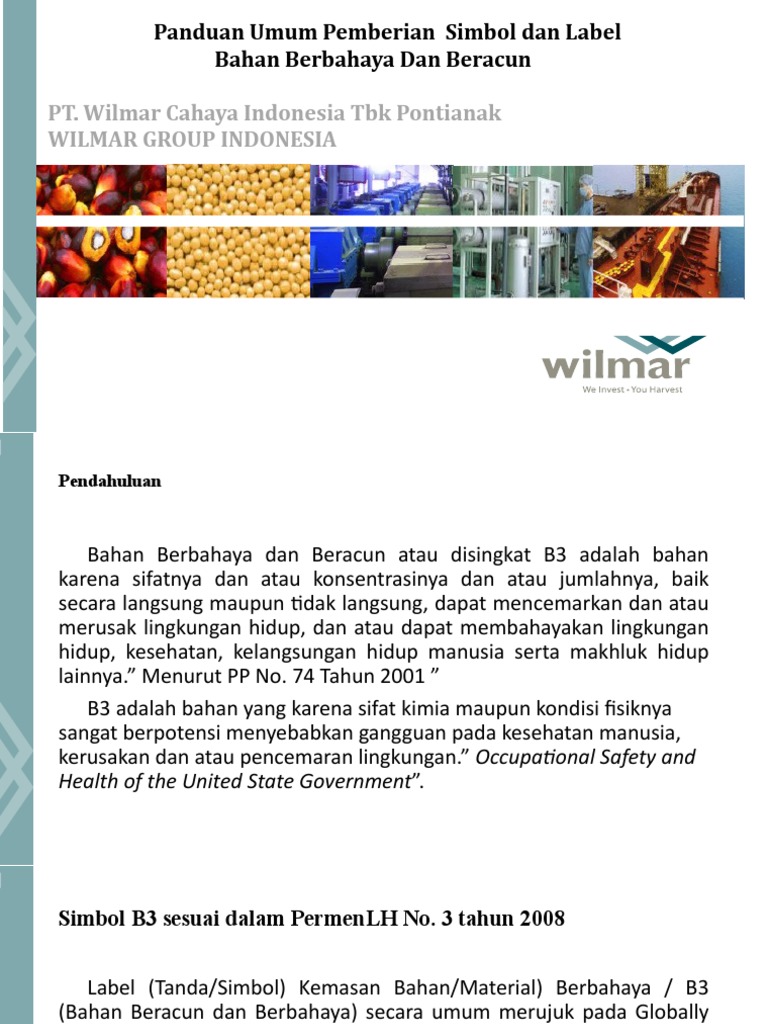 Simbol dan Label Bahan B3 | PDF
