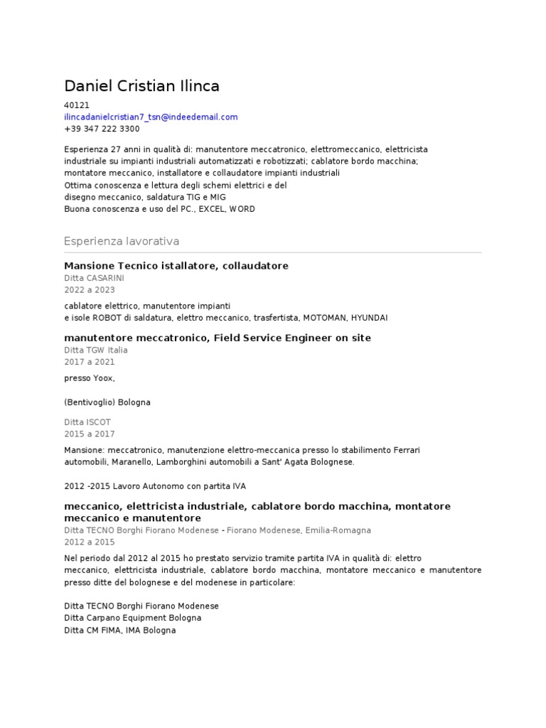 Curriculum Daniel Cristian Ilinca | PDF