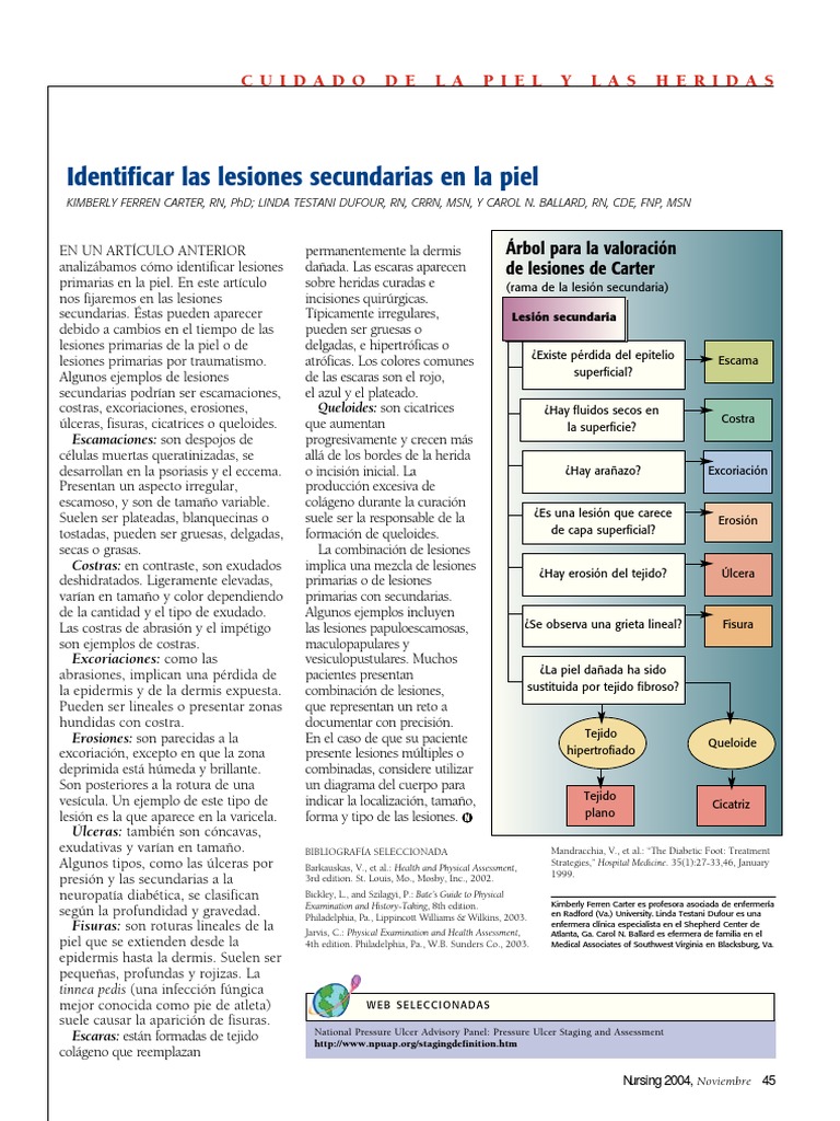 Identificar Las Lesiones Secundarias en La Piel | PDF | Piel ...