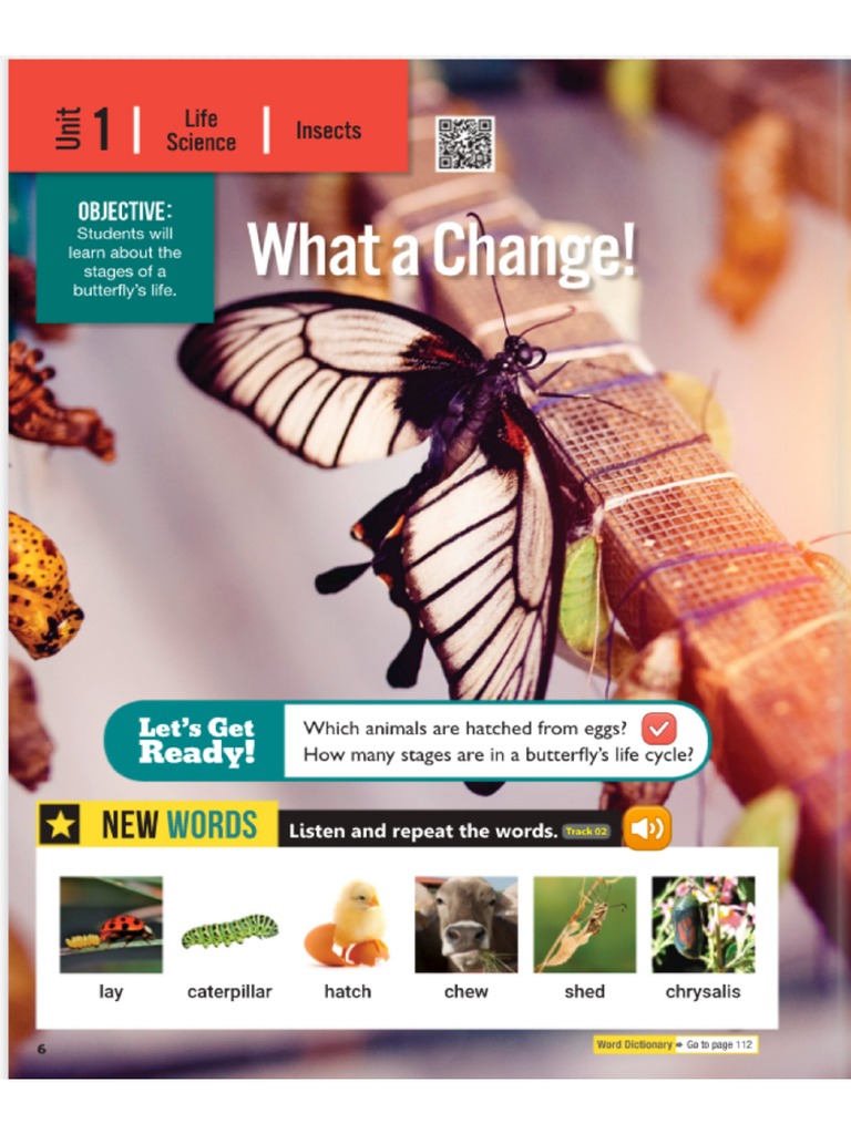 Bricks 170 Reading Text & Questions | PDF