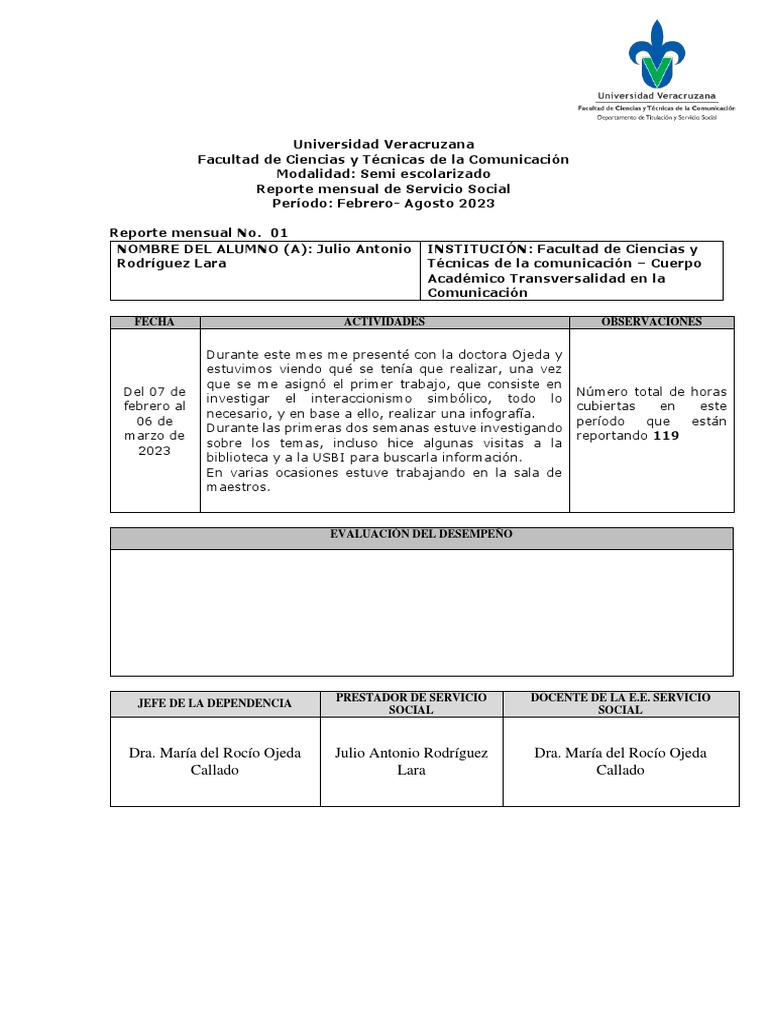 Formato de Reporte Mensual de SS | PDF