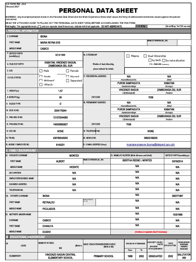 Ibona Pds Final | PDF | Government | Justice