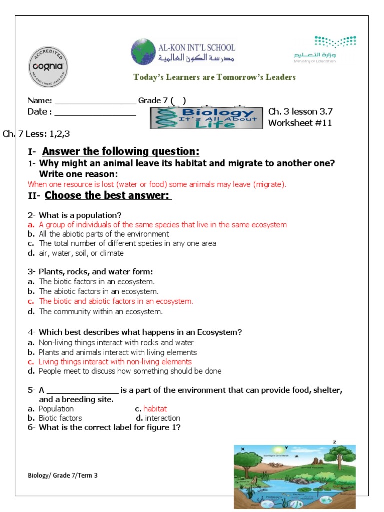 Grade 7 Ecosystem Worksheet | PDF