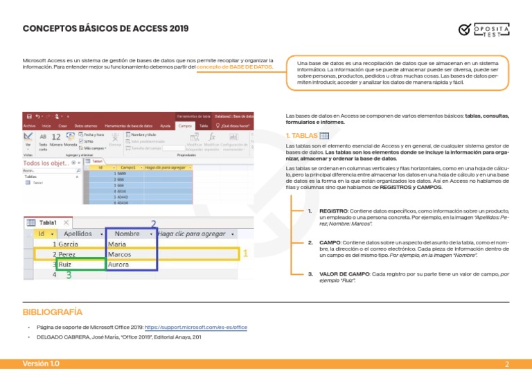 Conceptos Básicos de Access 2019 | PDF