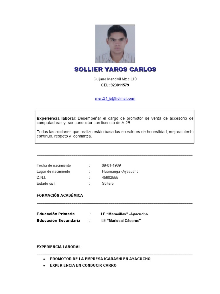 CV CARLOS | PDF