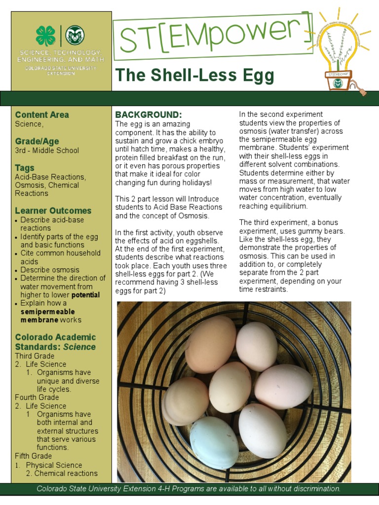 The Shell Less Egg | PDF | Osmosis | Egg As Food
