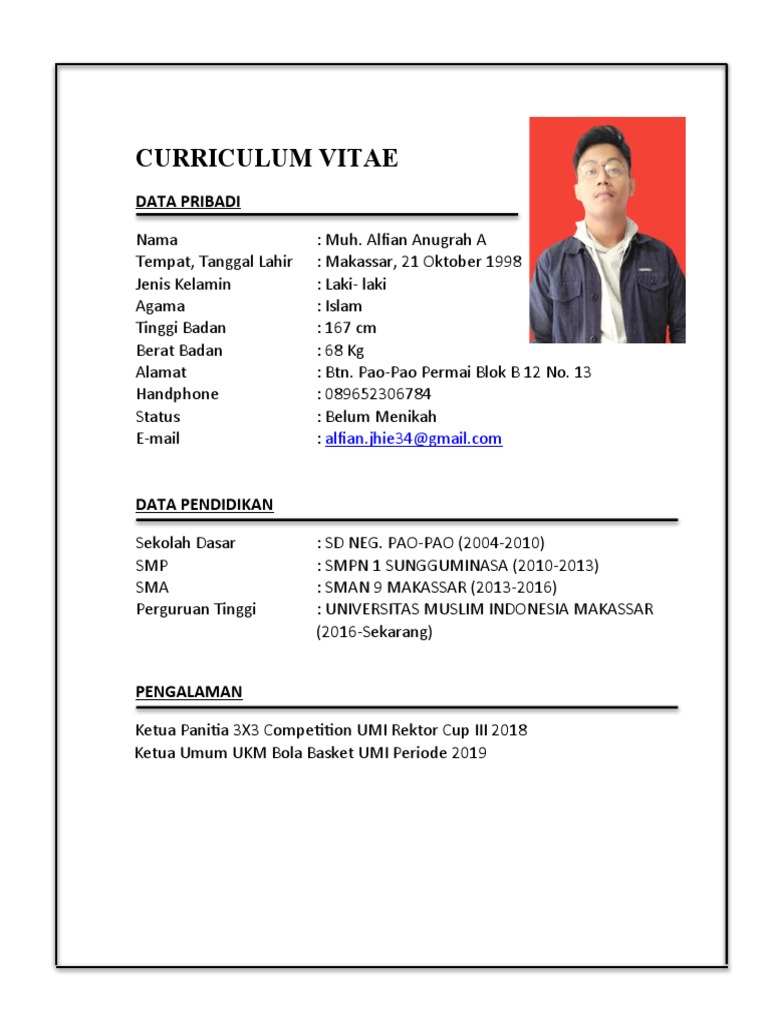 CURRICULUM VITAE Abal Abal | PDF