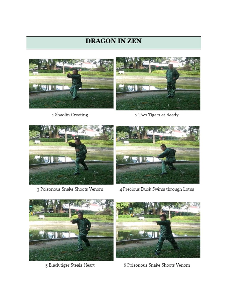 Dragon in Zen | PDF