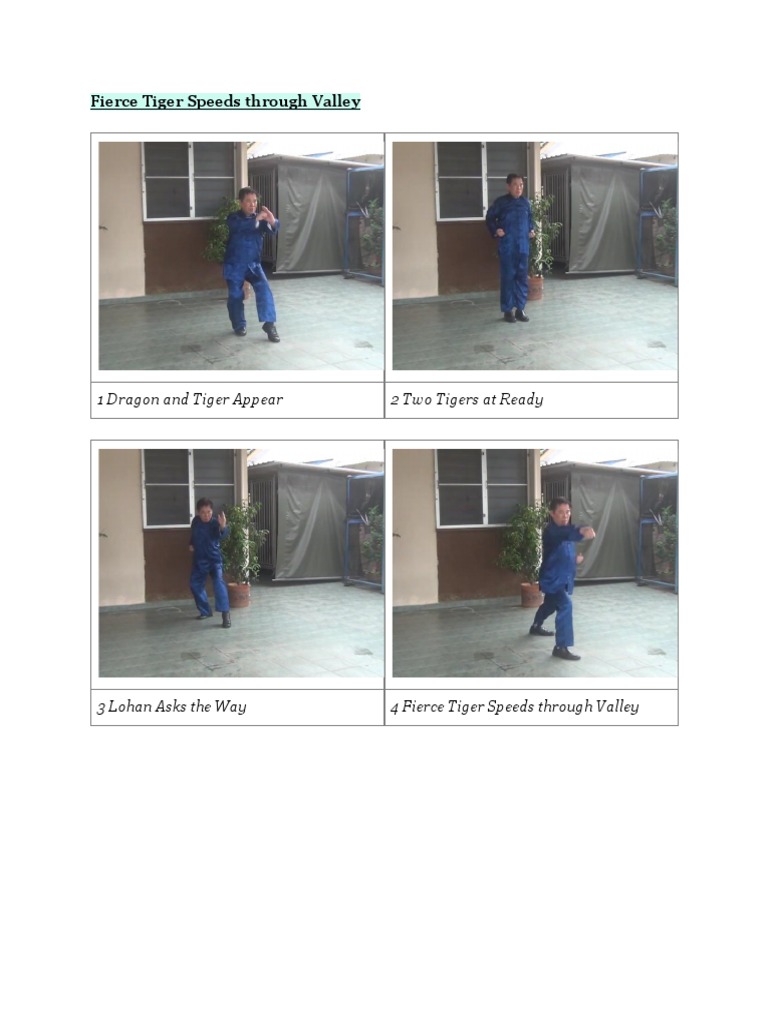 Fierce Tiger Kung Fu Sequence Guide | PDF