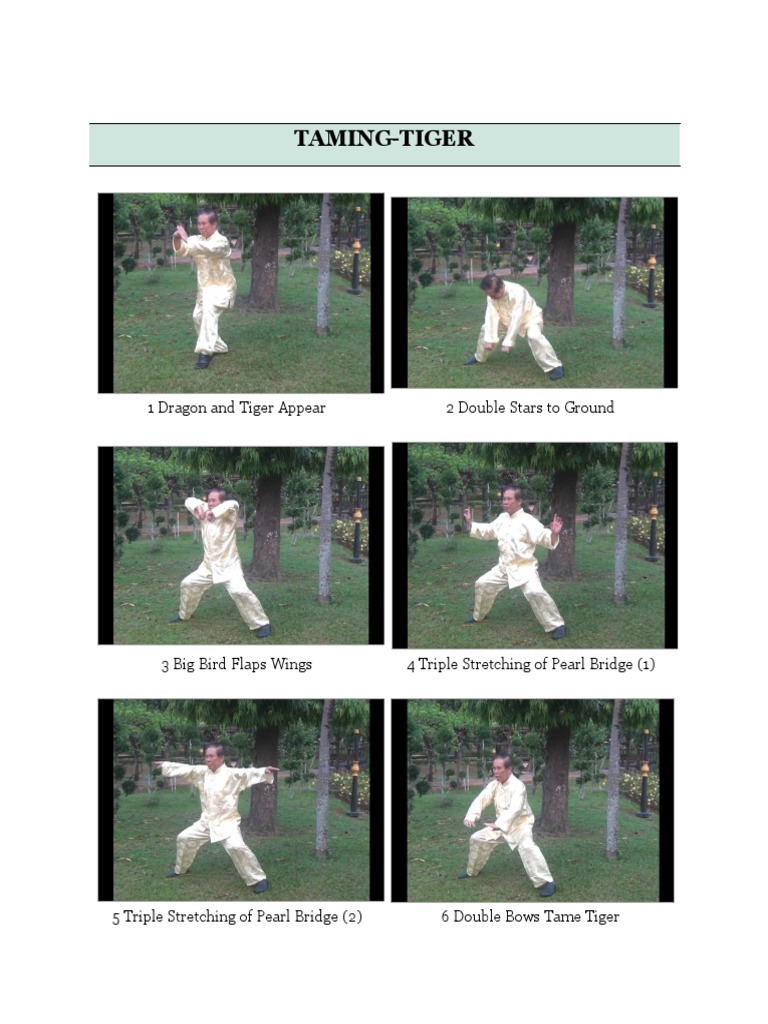 Taming Tiger Pdf Dragon Tiger