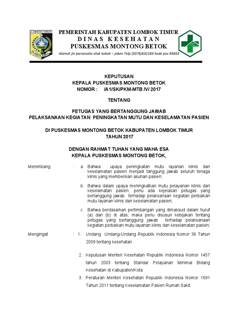 SK Petugas Yang Bertanggung Jawab Pelaksanaan Kegiatan Peningkatan Mutu Dan Keselamatan Pasien | PDF