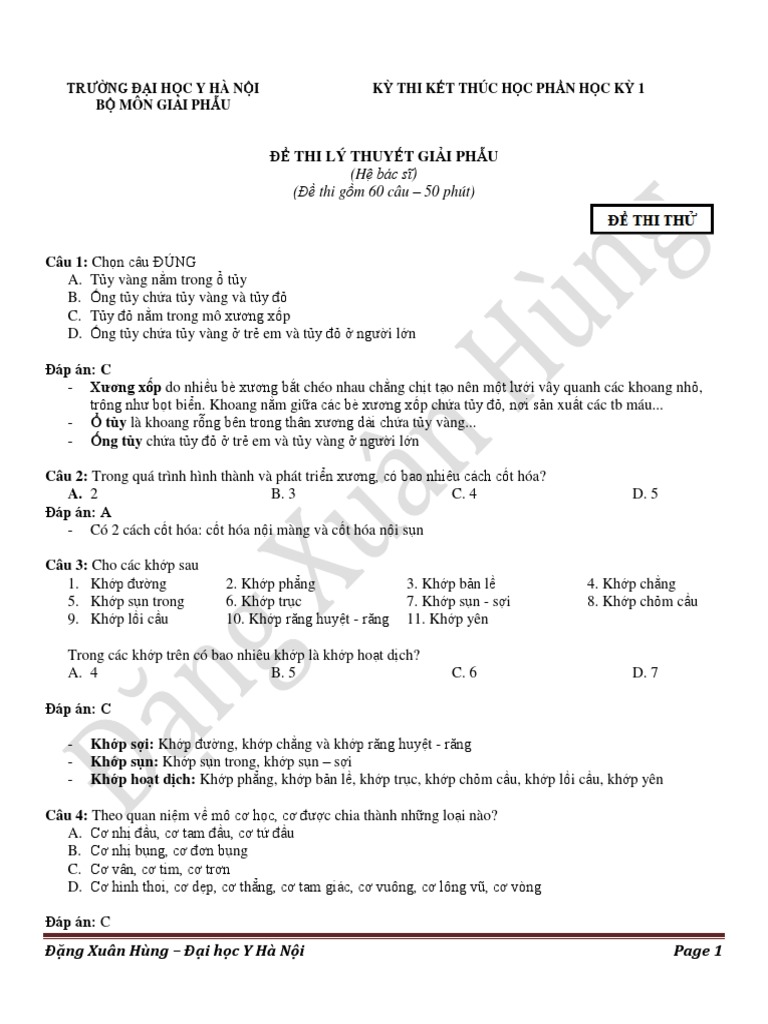 (123doc) - De-Thi-Ly-Thuyet-Giai-Phau | PDF