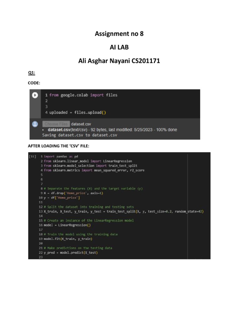 CS201171 AI Lab Assignment 8 | PDF