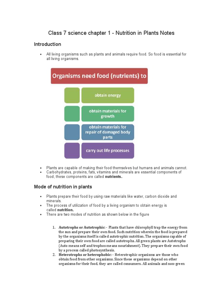 Chapter-1 Nutrition in Plants | PDF | Nutrition | Diet & Nutrition