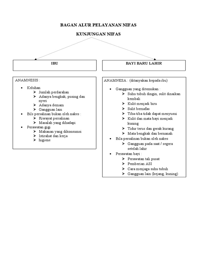 Bagan Alur Pelayanan Nifas | PDF