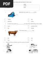 DLP Math Assessment Year 1 | PDF