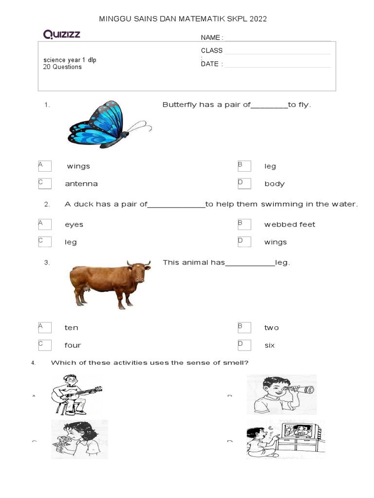 Year 1 Science DLP Exam Worksheet | PDF