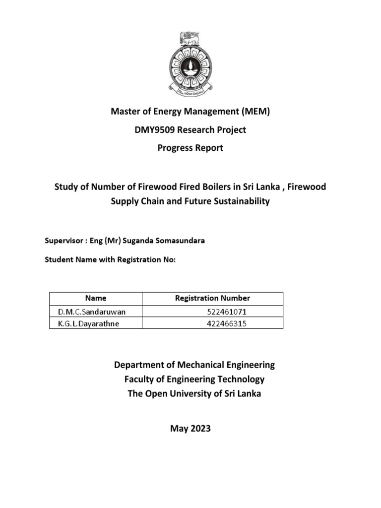 Progress Report | PDF