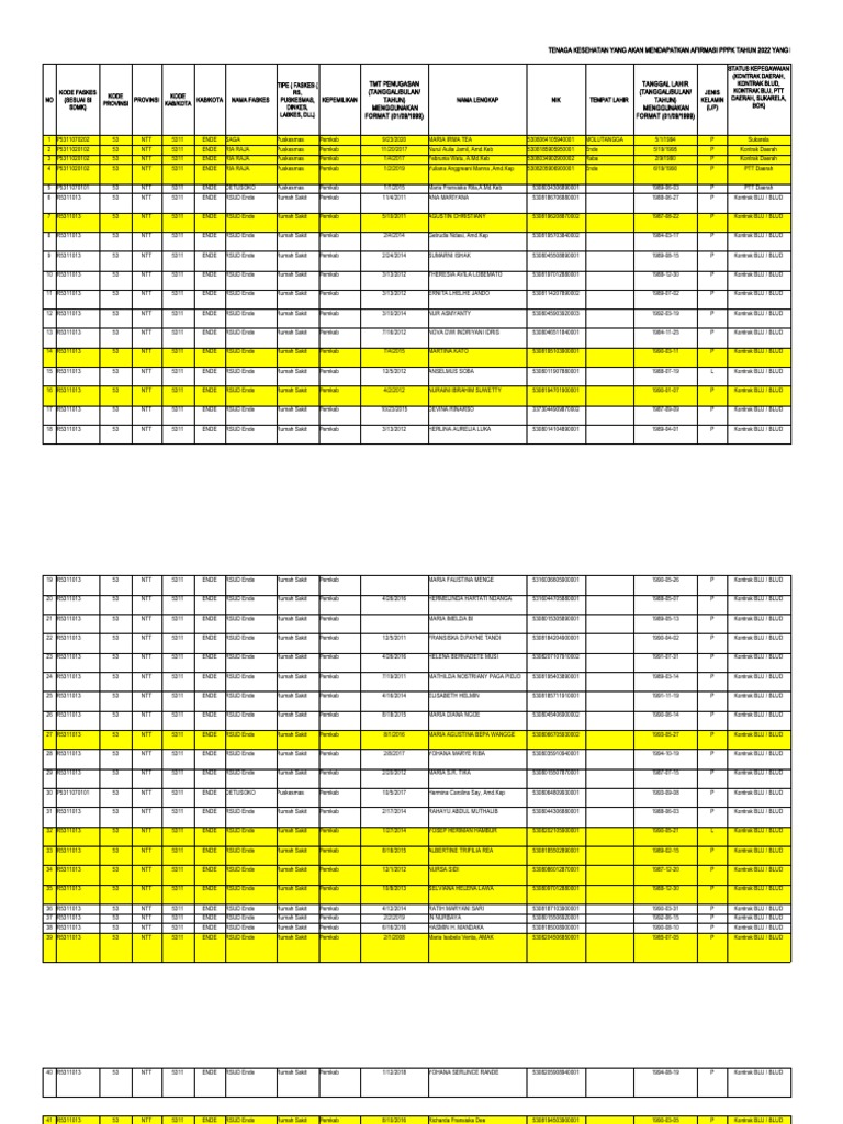 Data Non Asn Yang Bermasalh Pada Portal PPPK | PDF