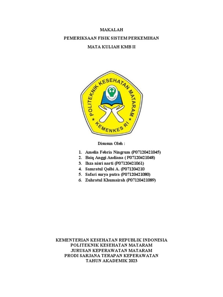 Pemeriksaan Fisik Sistem Perkemihan | PDF