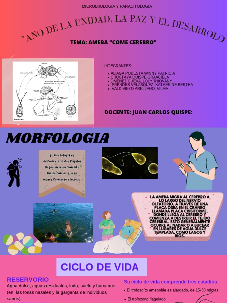 Expo Micro Teo | PDF