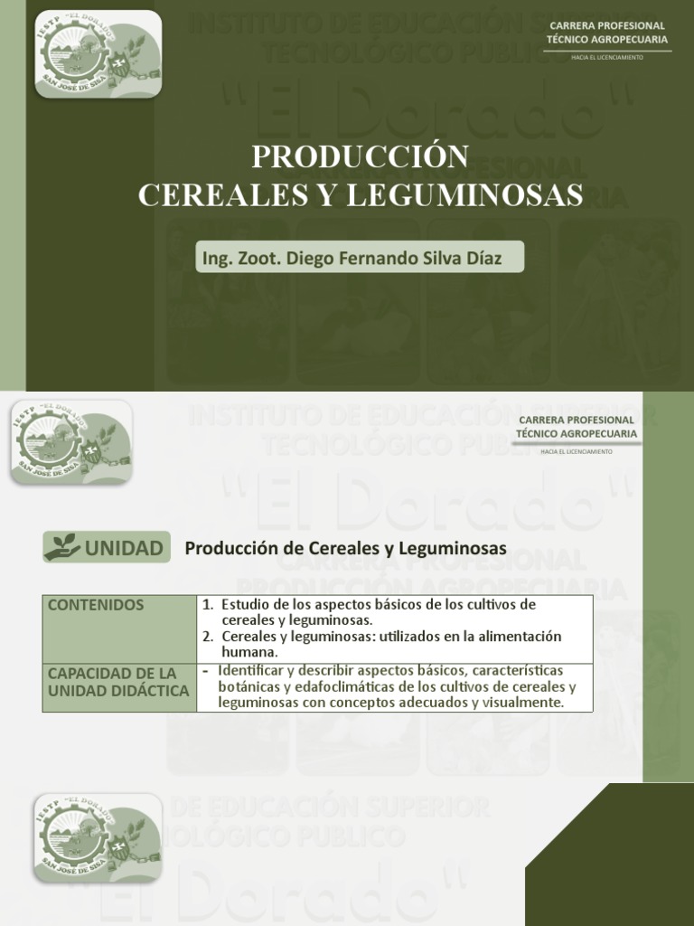 RA 1 - Cereales y Leguminosas | PDF | Cereales | Semilla
