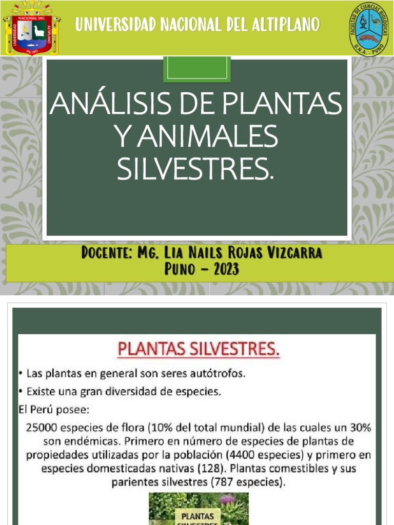 Análisis de Plantas y Animales Silvestres | PDF