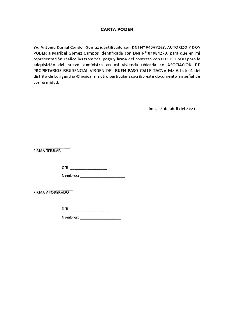 Carta Poder Modelo | PDF