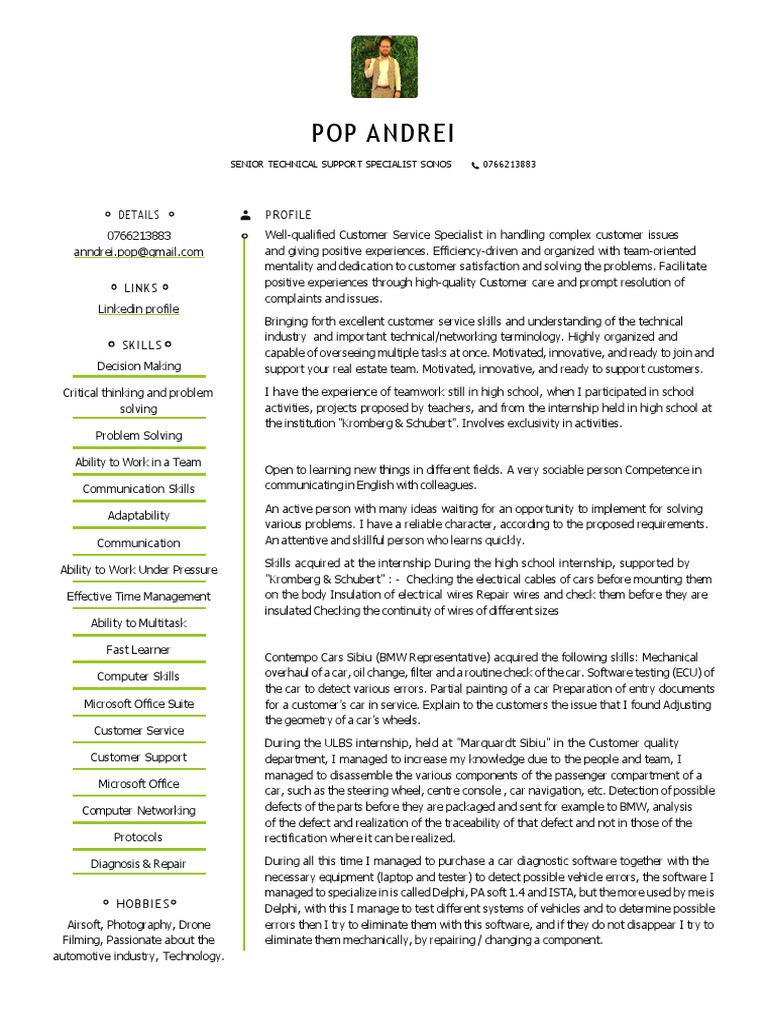 Curriculum Vitae Pop - Andrei - EN 2 | PDF | Technical Support ...