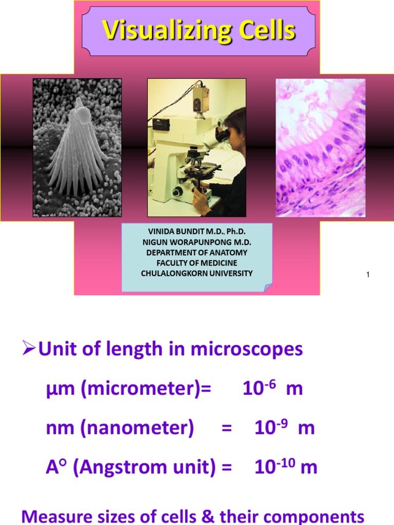 MDCU Visualizing Cells | PDF | Microscopy | Tissue (Biology)