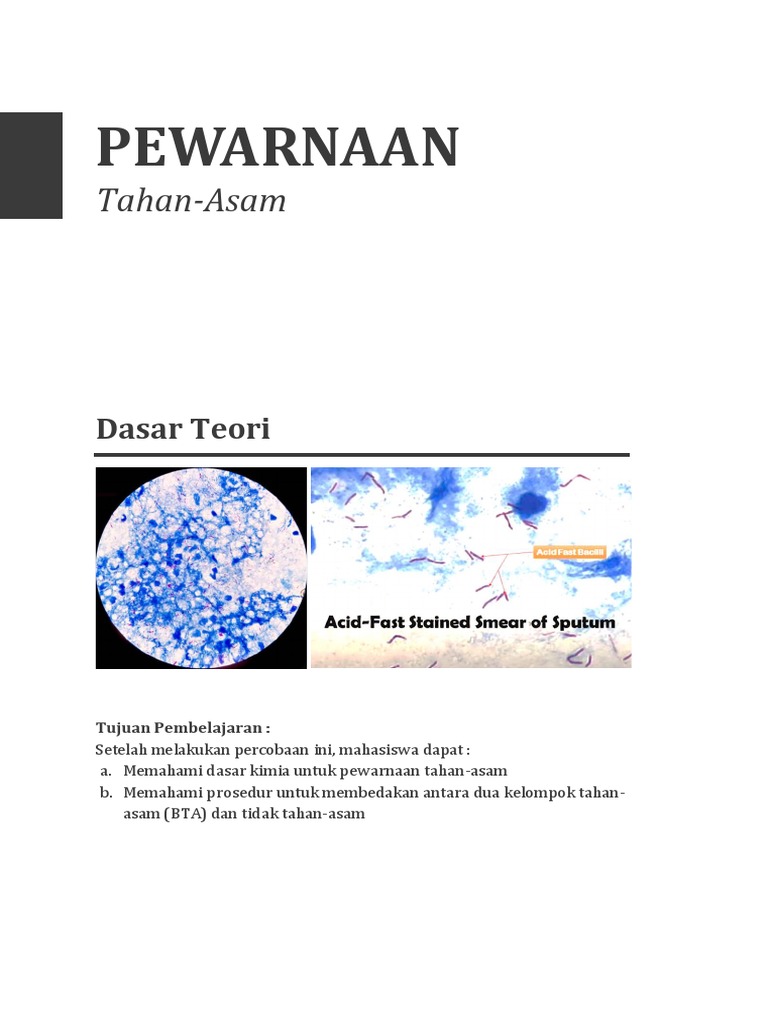 J. Pewarnaan BTA | PDF