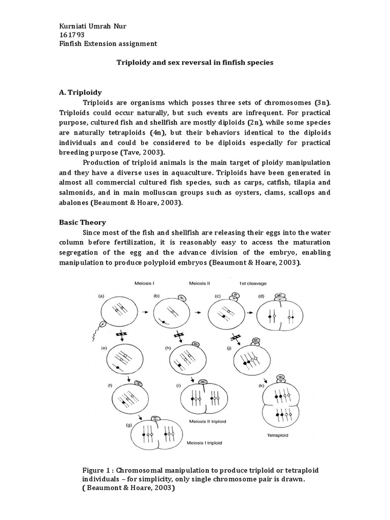 Triploidy and Sex Reversal | PDF | Ploidy | Meiosis