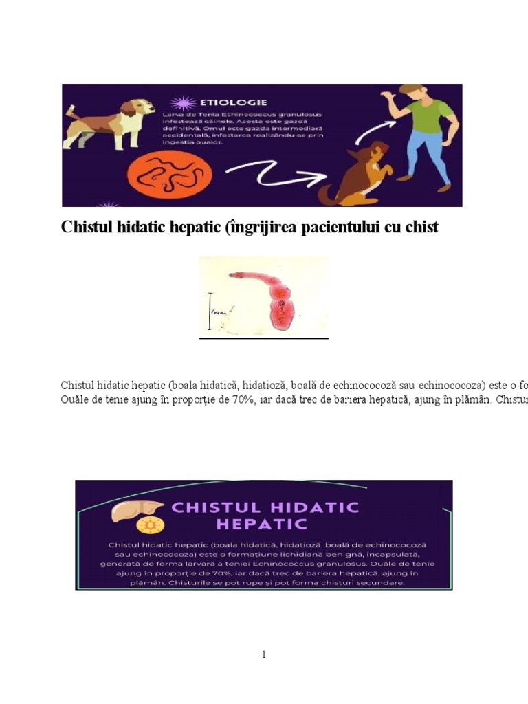 Chistul Hidatic Hepatic (Îngrijirea Pacientului Cu Chist Hidatic ...